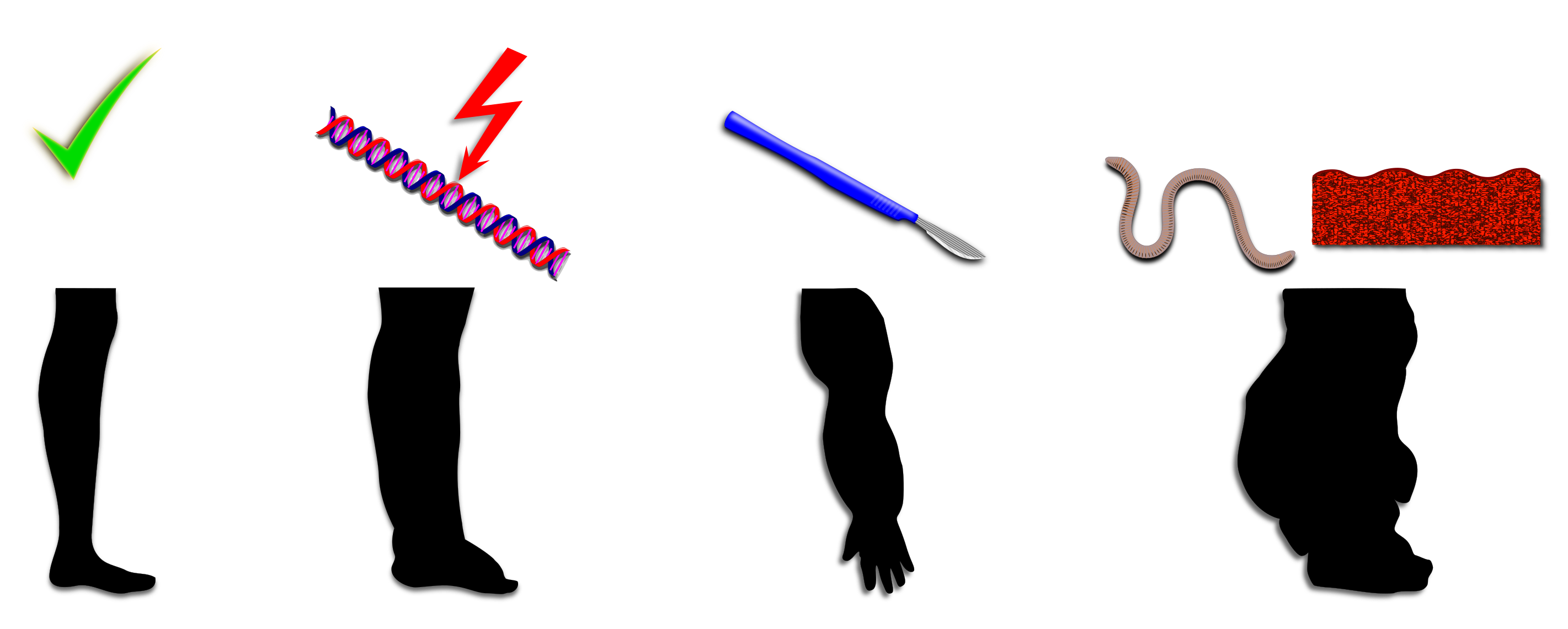 the-pharmacological-treatment-of-lymphedema-kudos