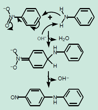 NASH Chemistry: Nucleophilic Aromatic Substitution for Hydrogen, a ...