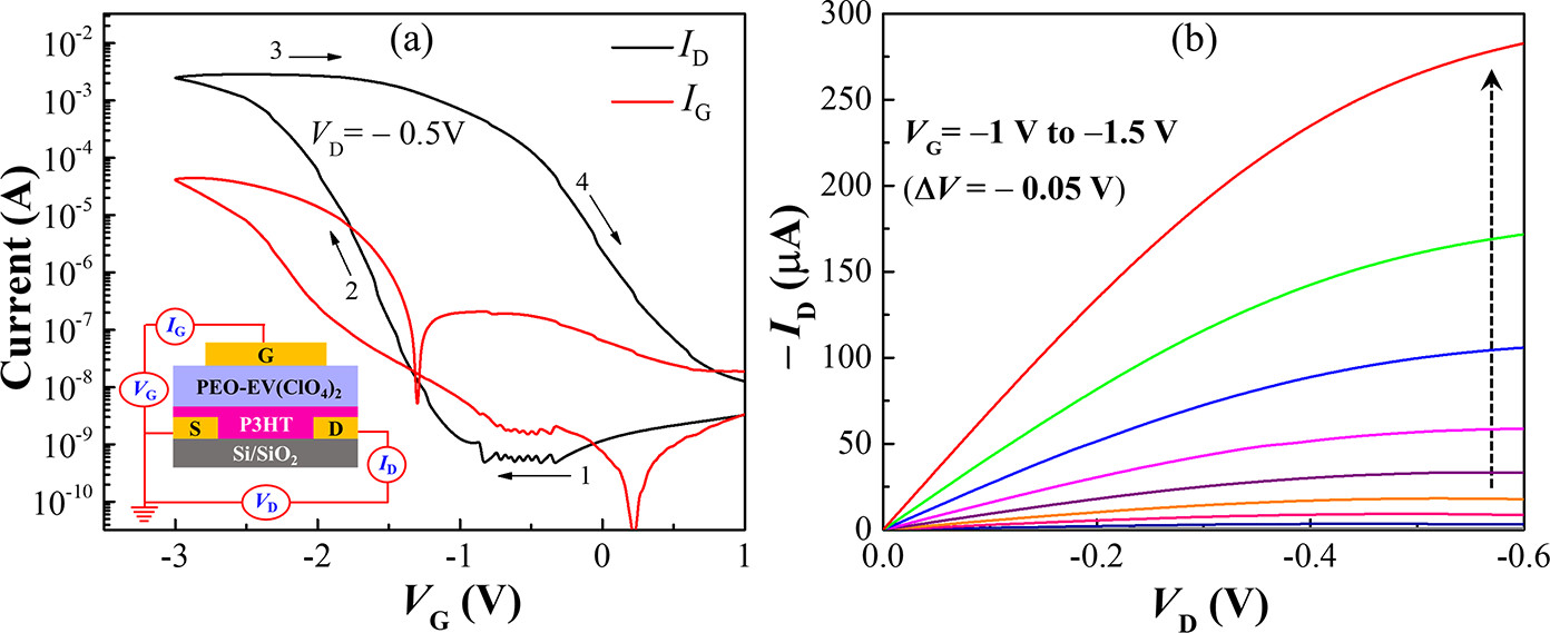 Thin Film Transistors – Kudos: Growing the influence of research